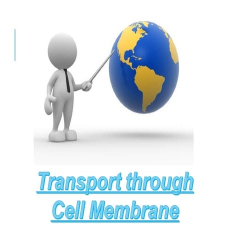 TRANSPORT ACROSS CELL MEMBRANE | PPT