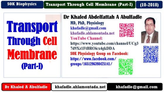 Skin Physiology 1 2019 By Dr Khaled A Abulfadle Pdf