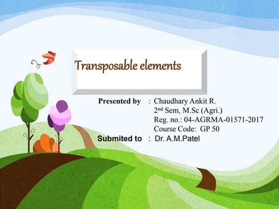 Transposons in drosophila - P element | PPT