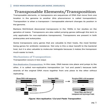 Transposable Elements or Transposition | PDF