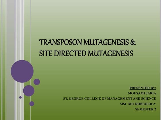 Site directed mutagenesis | PPTX | Chemistry | Science