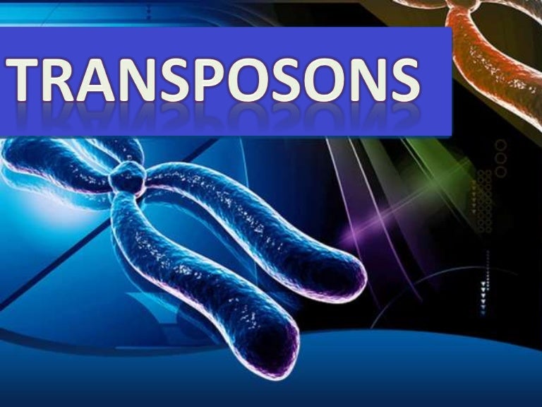 Transposons ppt