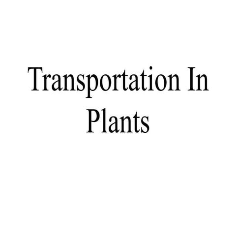 Transpotation | PPT