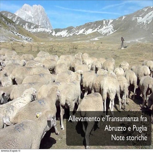 Transumanza fra Puglia e Abruzzi: Note Storiche | PDF
