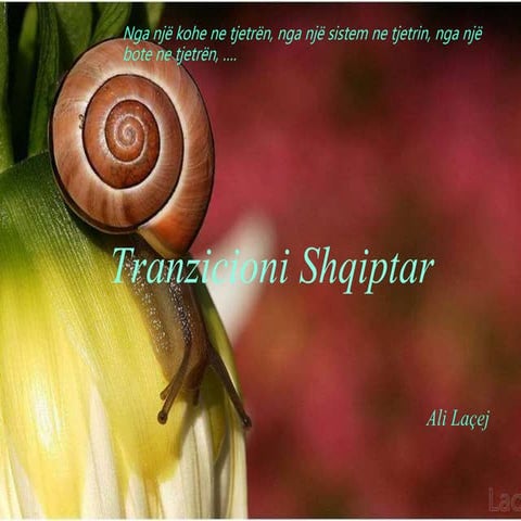 Tranzicioni shqiptar | PPT