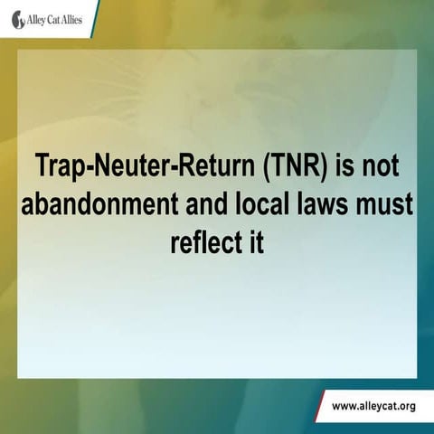 Trap-Neuter-Return (TNR) is not abandonment and local laws must reflect ...