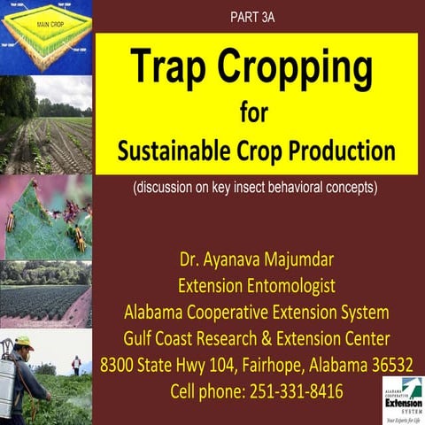 Trap Cropping Techniques | PPT
