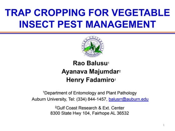 Frauda exemplu | PDF