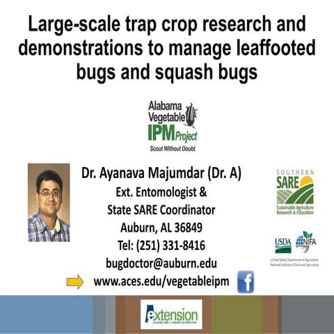 Trap crop research overview (2011-2017) | PPTX