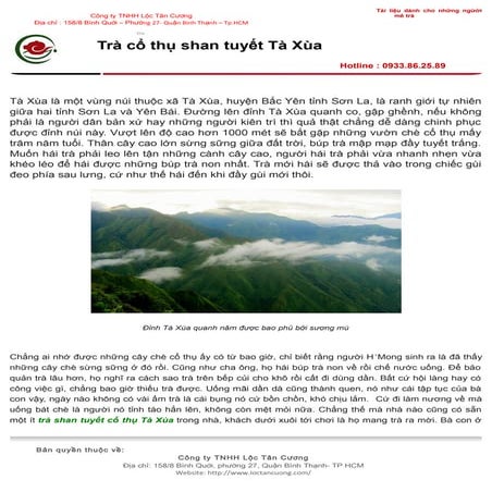 Tra oolong | PDF