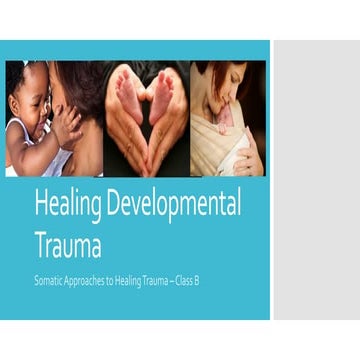 Developmental Trauma - Somatic Skills for Addressing Developmental ...