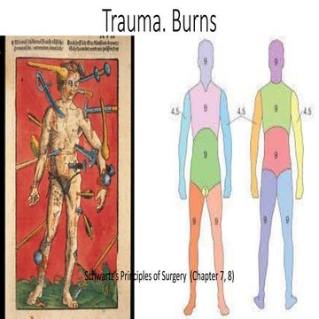 Trauma,Burns.pptx