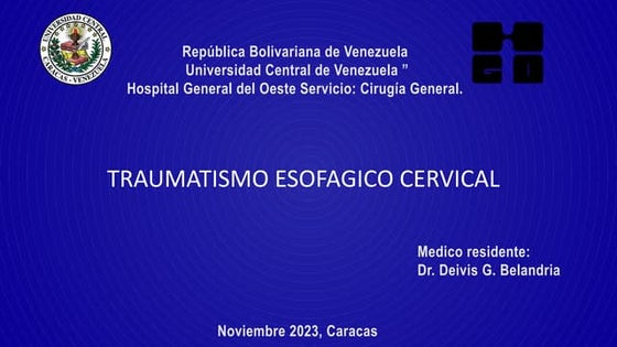 Deivisgarcia8 presentations
