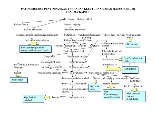 Pathways trauma kepala