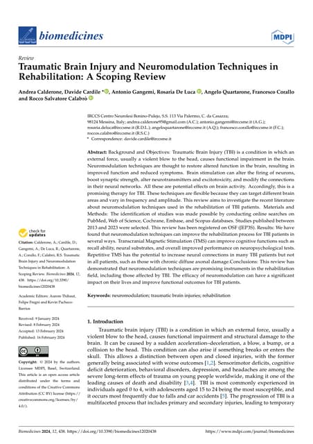 Shayvardebrahimi presentations