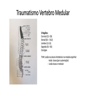Traumatismo Vertebro Medular.pptx