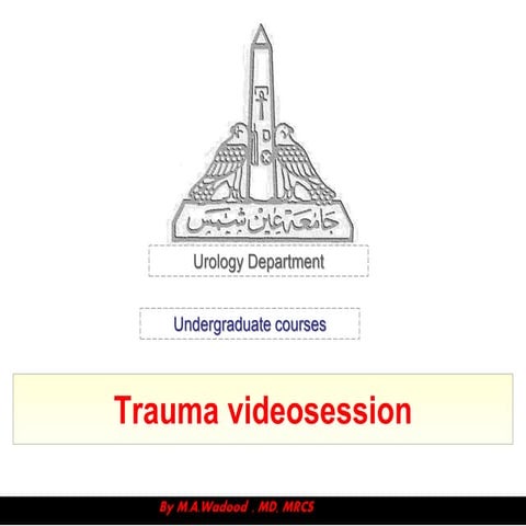 Trauma videosession v2 | PDF