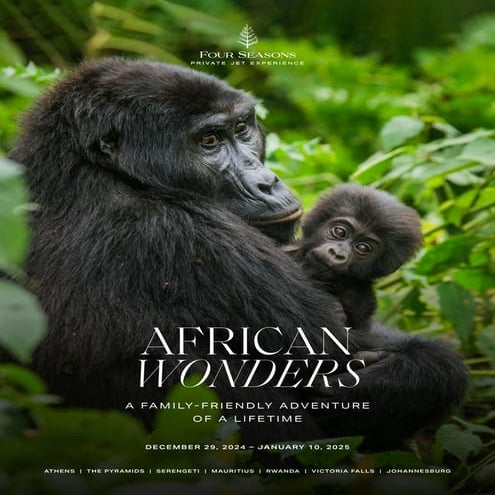 Travel Agent - Four Seasons African Wonders - December 2024 Brochure.pdf