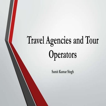 Travel agents and tour operators | PPTX