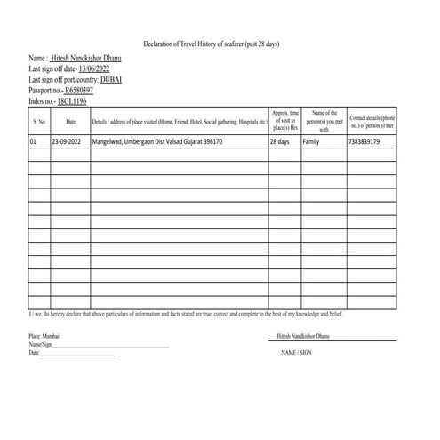 travel history Format.docx