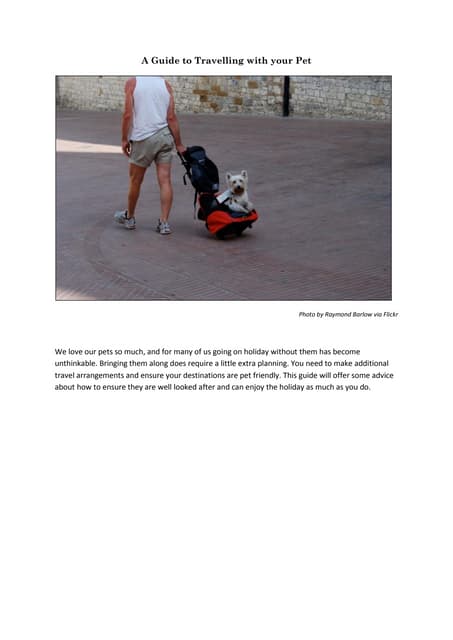 Pet Cloud Quick Guide | PPT