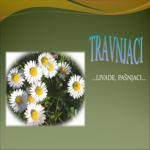 Travnjaci (1) | PPT