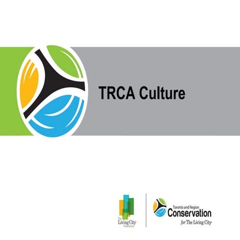 Trca culture presentation-v3 | PPT | Parenting | Family and Relationships