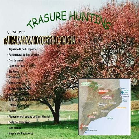 Treasure Hunt | PPT