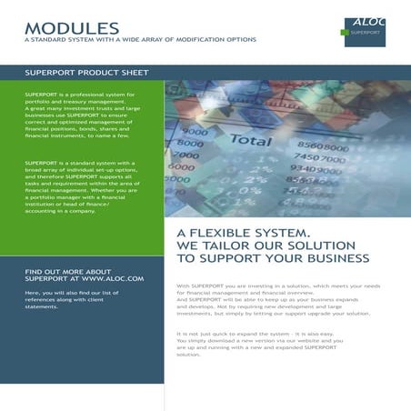 Treasury & Cash Management Modules | PDF