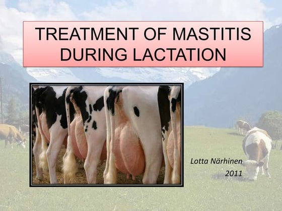 Mastitis in cattle, buffalo | PPT | Ear, Nose and Throat Conditions | Diseases and Conditions
