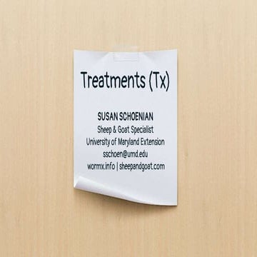 The Five Point Check® | PPTX