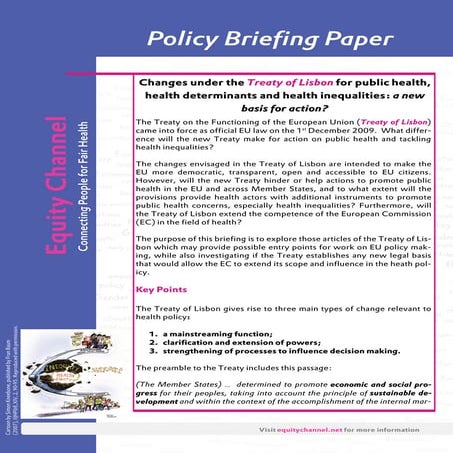 FRA Factsheet - Lisbon Treaty | PDF