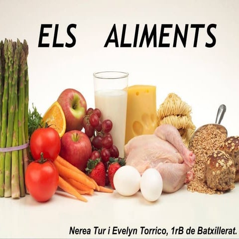 Reflexions sobre els aliments | ODP