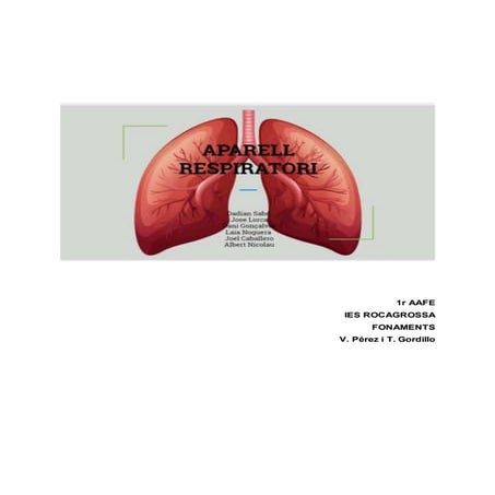 Treball complert | PDF