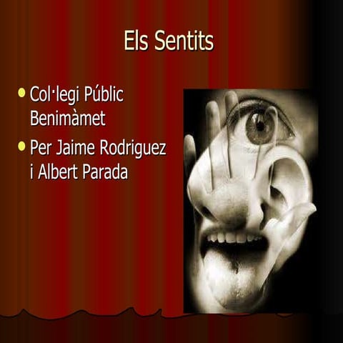 Els sentits | PPT
