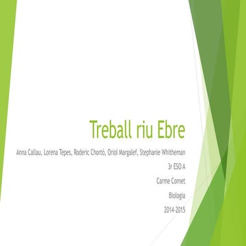 Treball riu ebre | PPTX