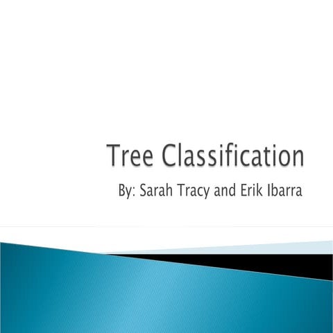 Tree | PPT