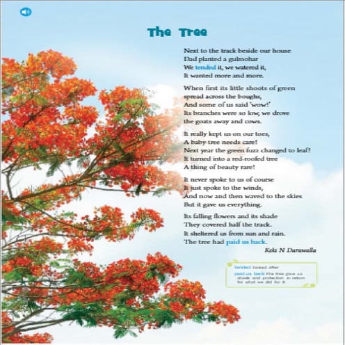 Tree | PDF