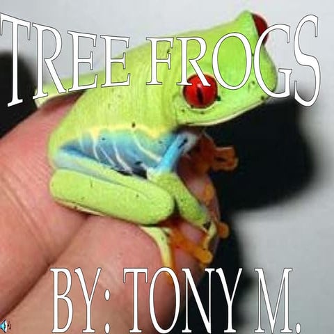 Tree Frogs Tony | PPT