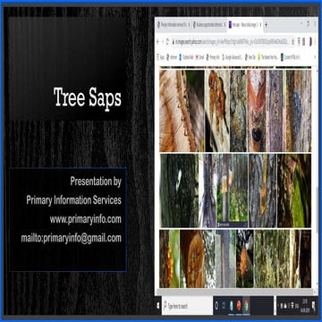 Tree saps | PPT