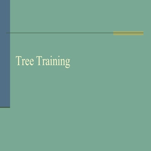 Tree Training | PPT