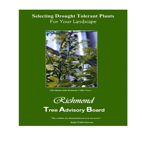 Common Plants | PDF