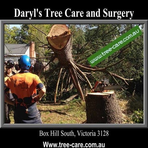 Tree stump removal methods | PPTX