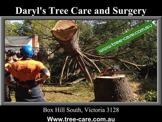What is an arborist.pdf