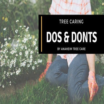 Tree Caring Dos and Don’ts | PDF