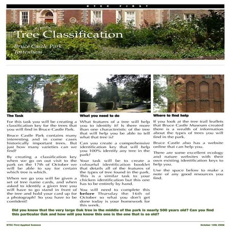 Tree Classification | PDF