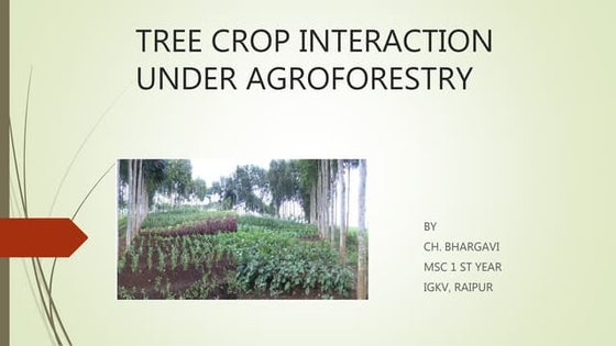 Agroforestry | PPTX | Agriculture | Industries