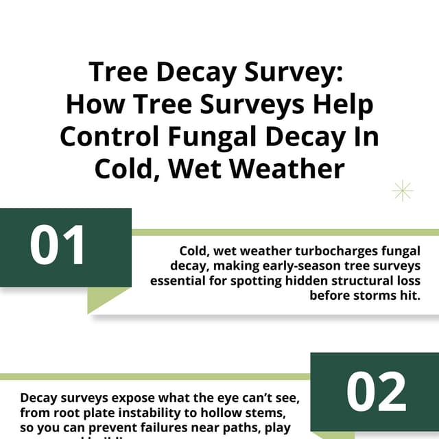 Tree Decay Survey: How Tree Surveys Help Control Fungal Decay In Cold ...