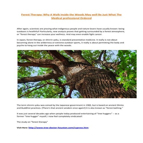 Tree doctor | PDF