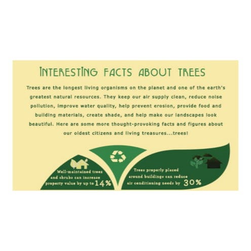Interesting tree facts | PDF